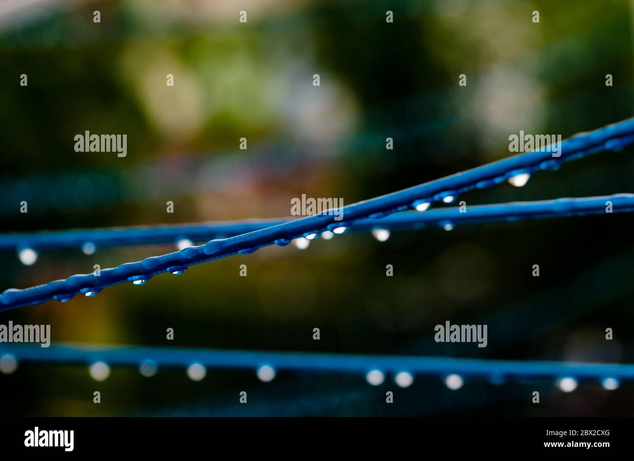 String of raindrops hi-res stock photography and images - Alamy