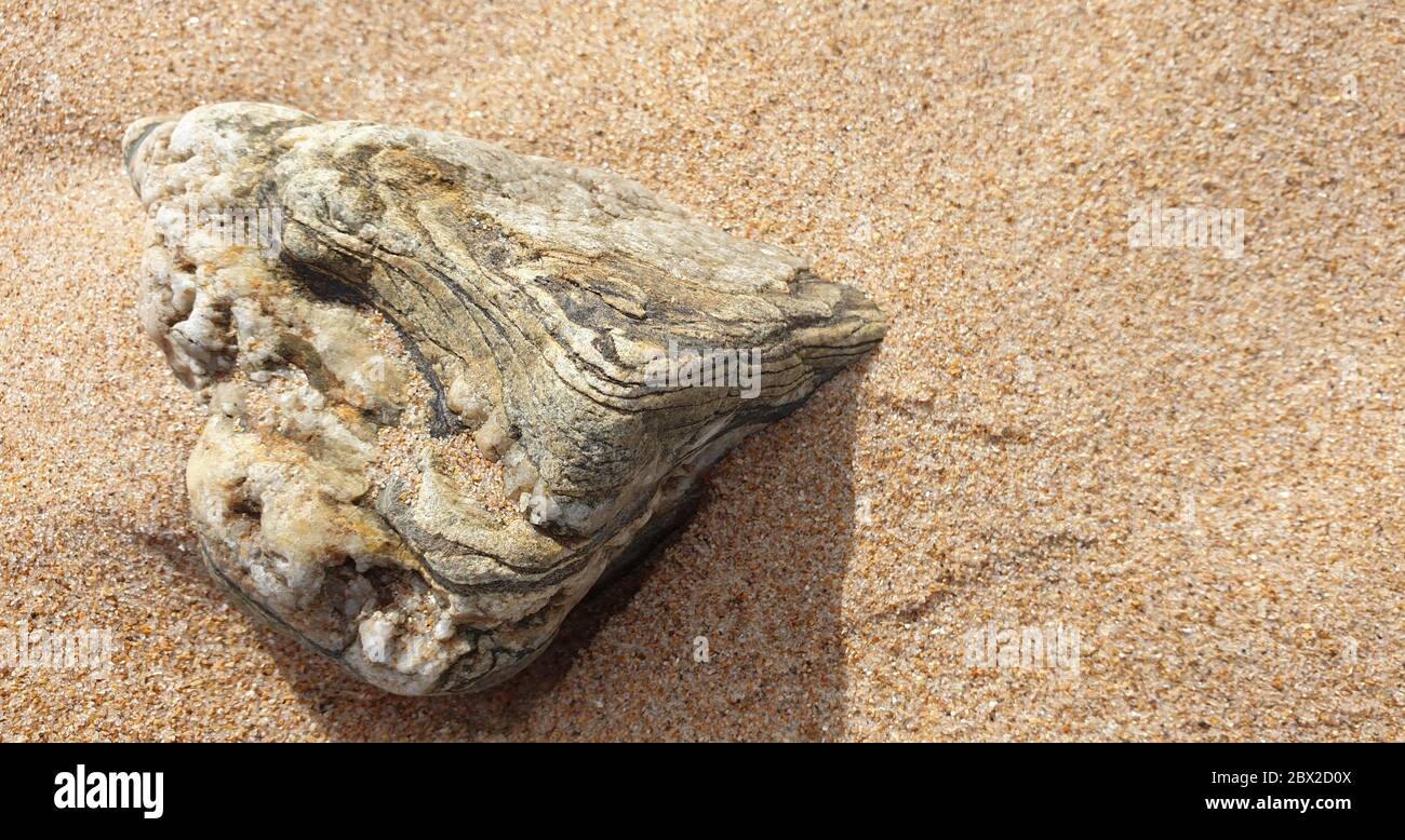 Rocks in sand Stock Photo - Alamy