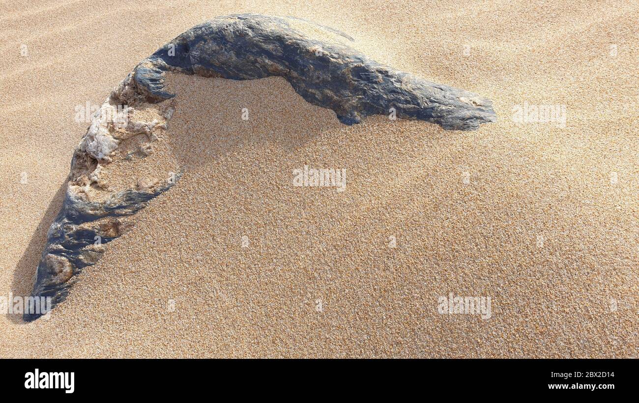 Rocks in sand Stock Photo - Alamy