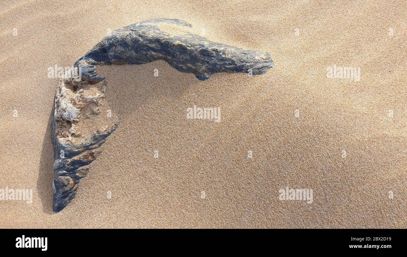 Rocks in sand Stock Photo - Alamy