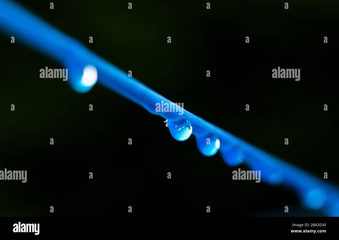 A blue clothing lines of a clothes spin with many raindrops at the ...