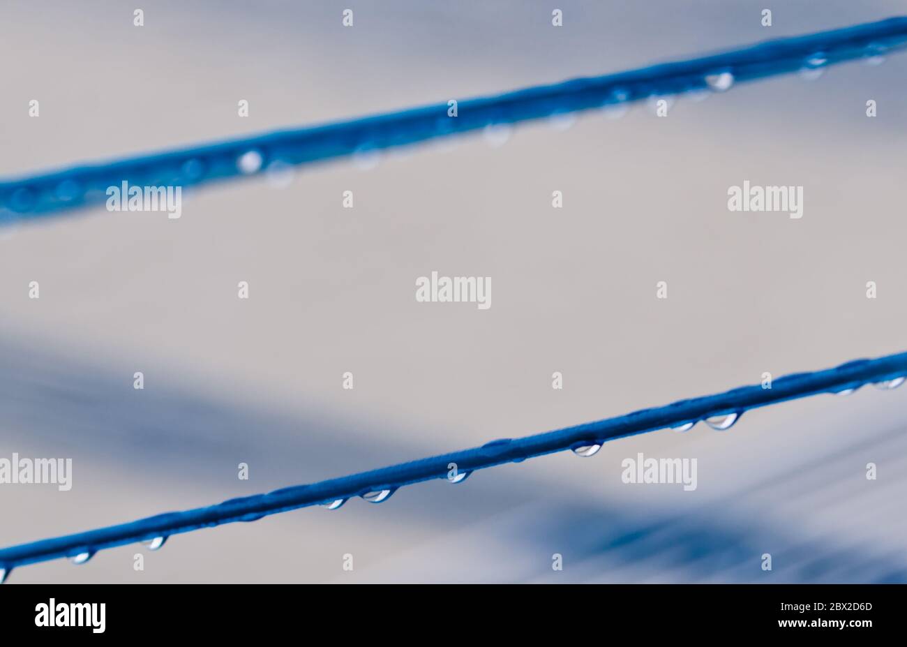 A blue clothing line with many raindrops at the string in front of a ...