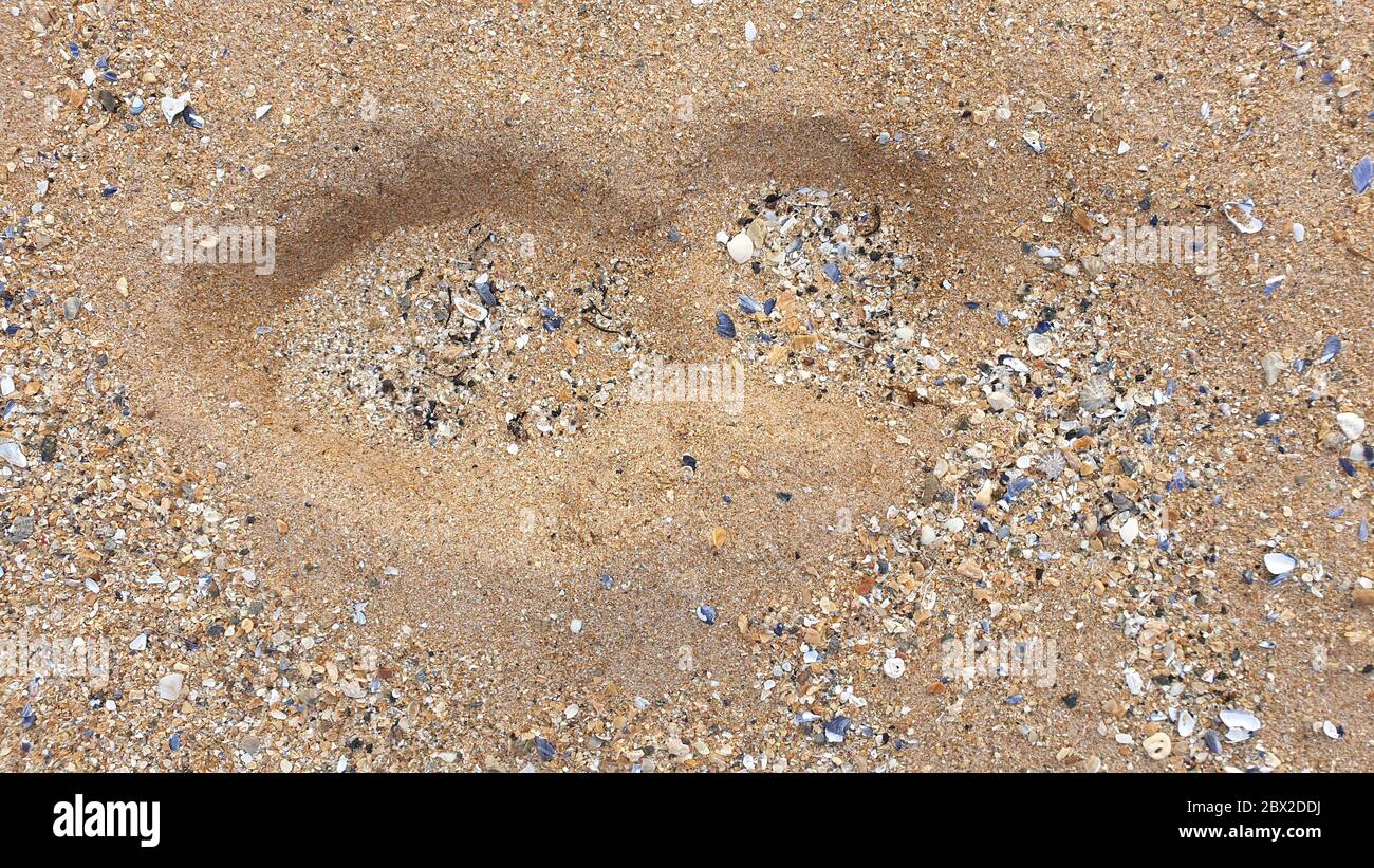 Footprint in shells Stock Photo - Alamy