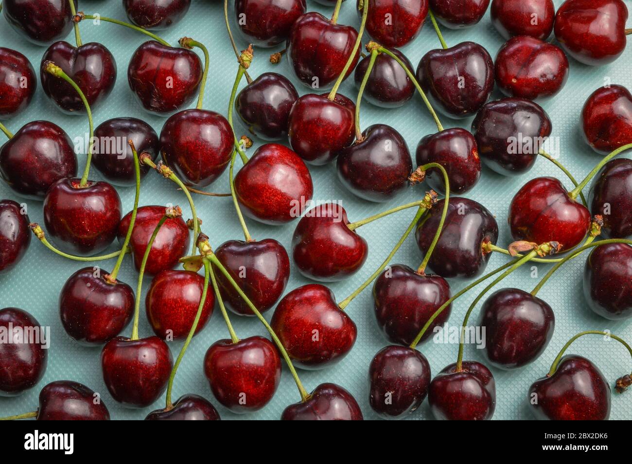Red organic ripe cherries on a light blue background Stock Photo - Alamy