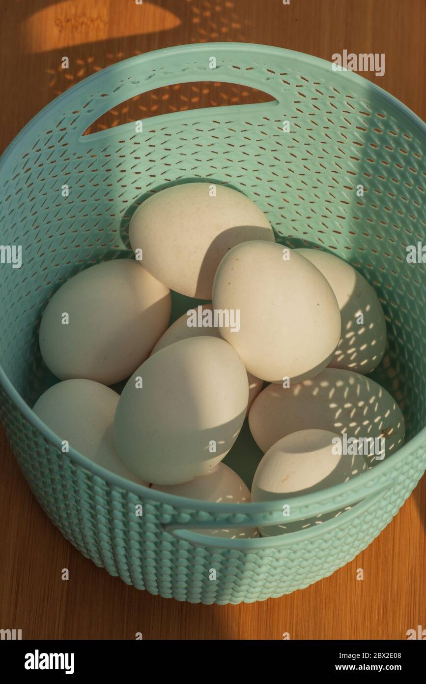 natural homemade eggs in a tray. top view. Egg tray. Easter concept ...