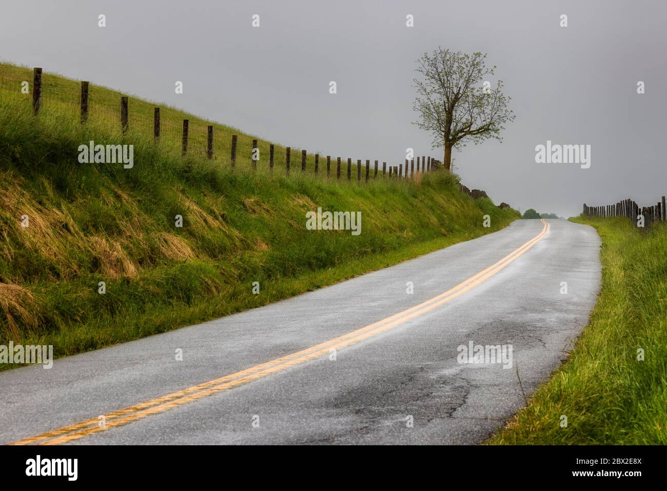 Narrow rural Virginia country road passing through pasture lands on low ...