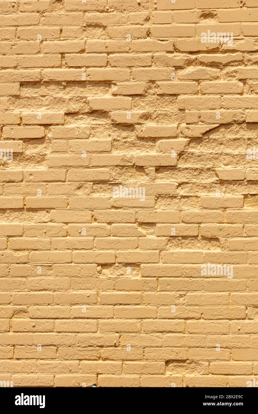 Brick wall, by James D Coppinger/Dembinsky Photo Assoc Stock Photo - Alamy