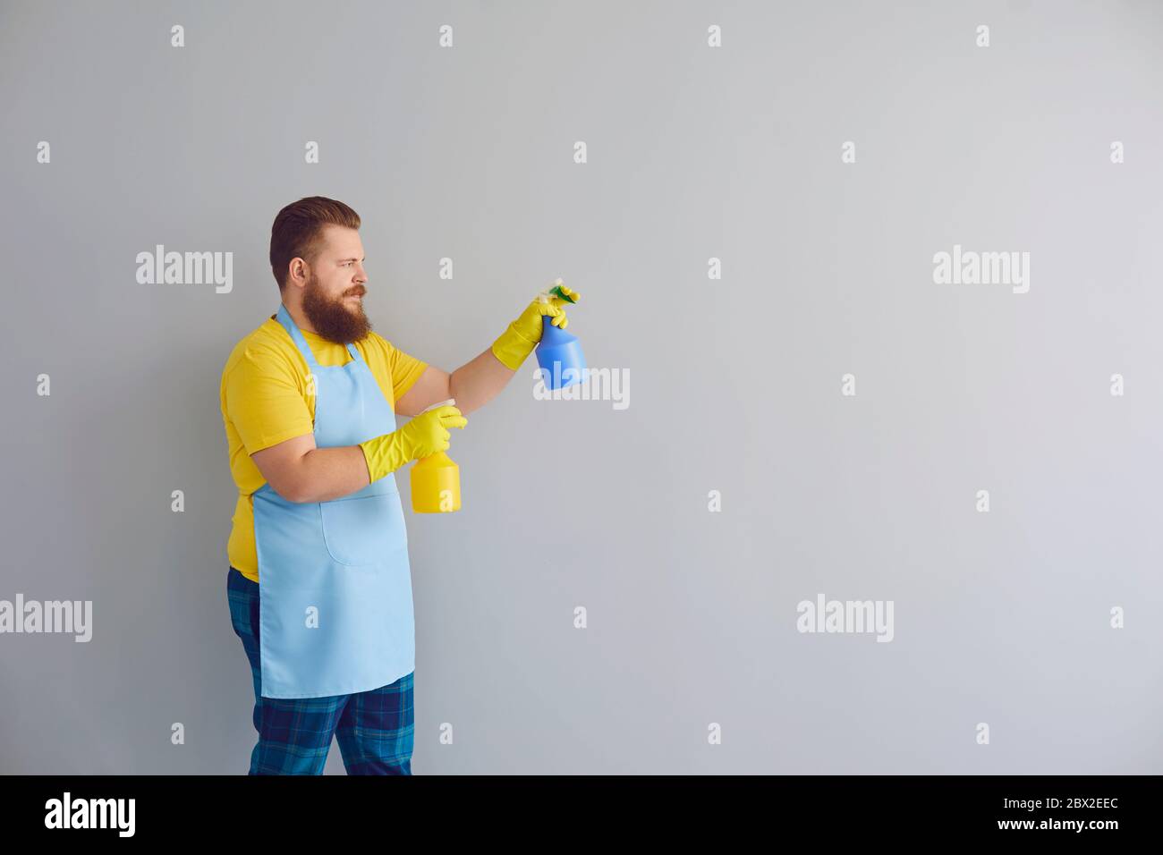 Funny fat man with a beard in an apron cleans up on a gray background ...