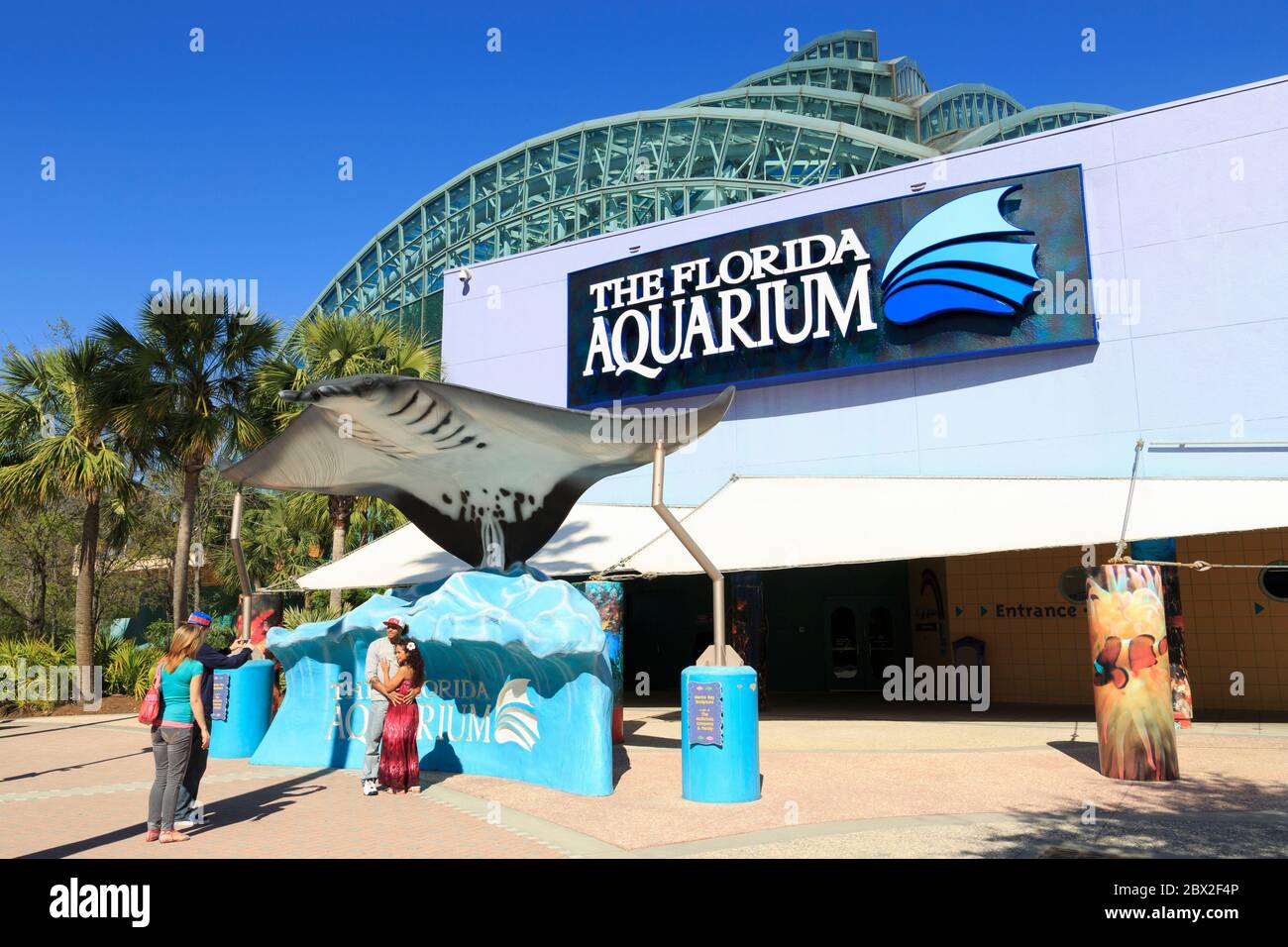 Tampa florida aquarium hi-res stock photography and images - Alamy