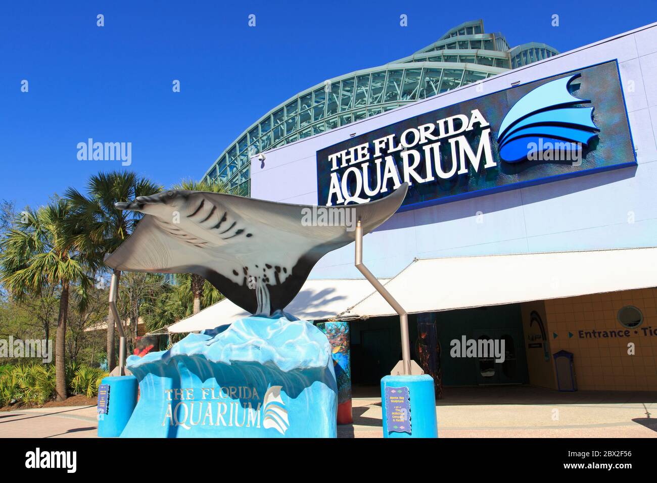 Tampa florida aquarium hi-res stock photography and images - Alamy