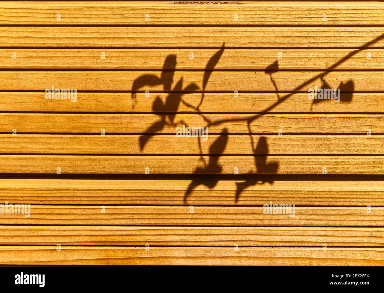 Wood with shadows Stock Photo - Alamy