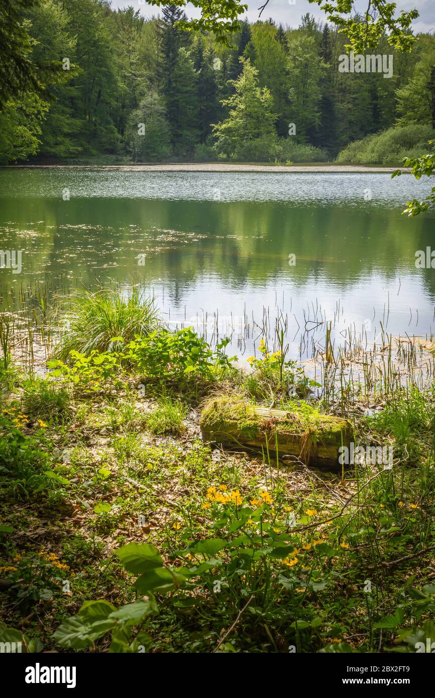 Rotten Vegetation High Resolution Stock Photography and Images - Alamy