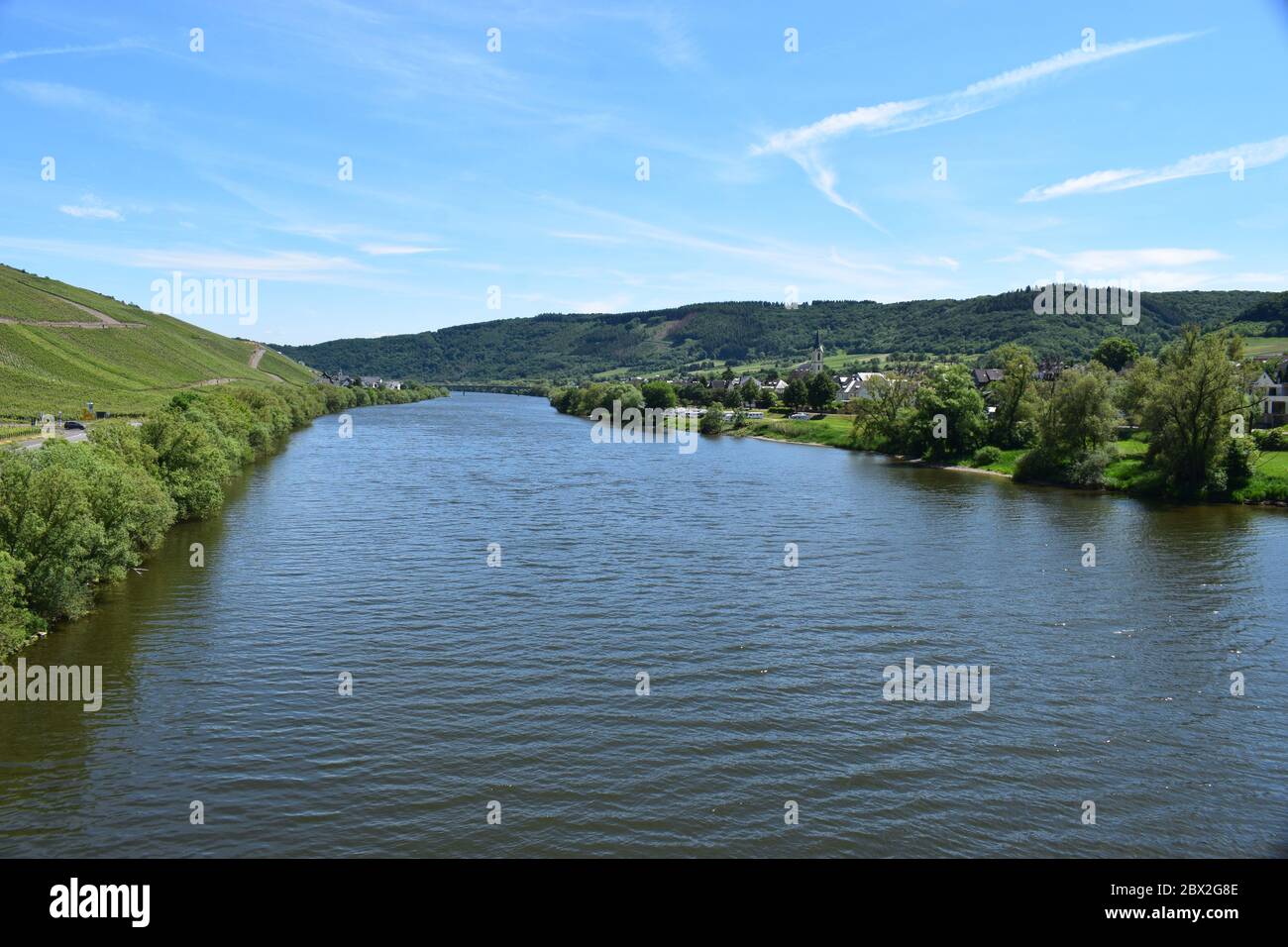 Mosel valley near Lösnich with the waterfront road and steep vineyards ...