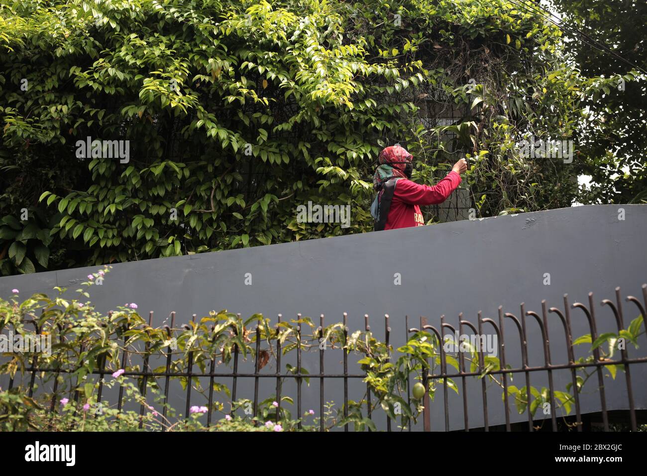 62nd can hi-res stock photography and images - Alamy