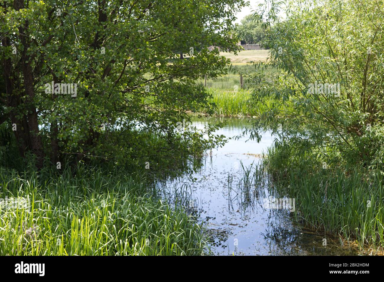 Fairford river hi-res stock photography and images - Alamy