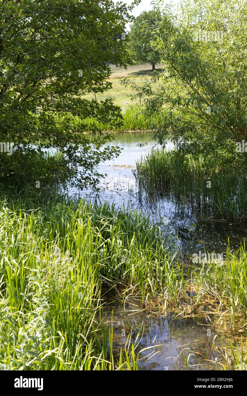 Fairford river hi-res stock photography and images - Alamy