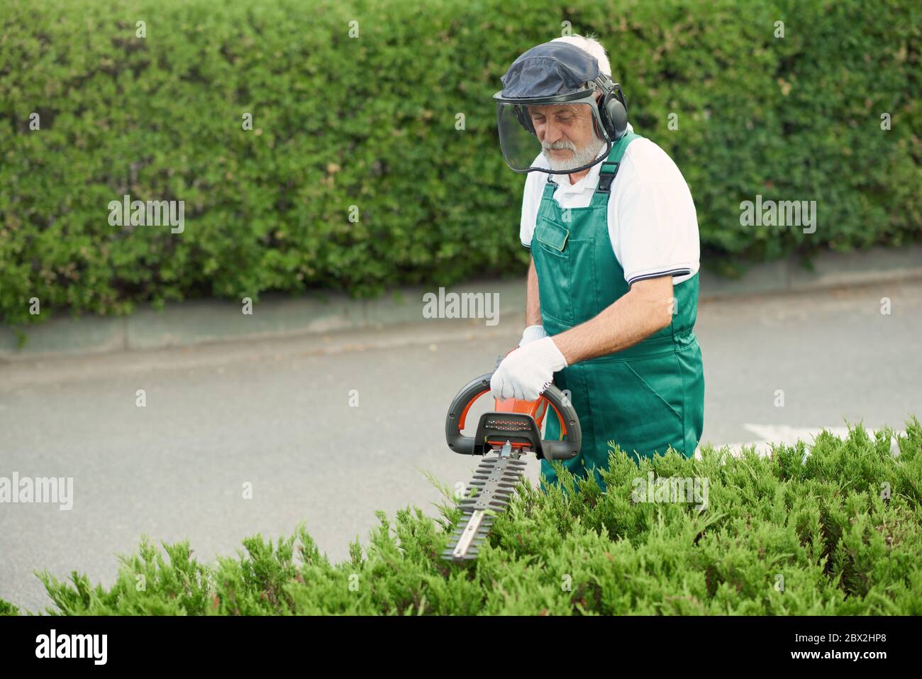 From above view of male senior gardenere wearing uniform, ear and face ...