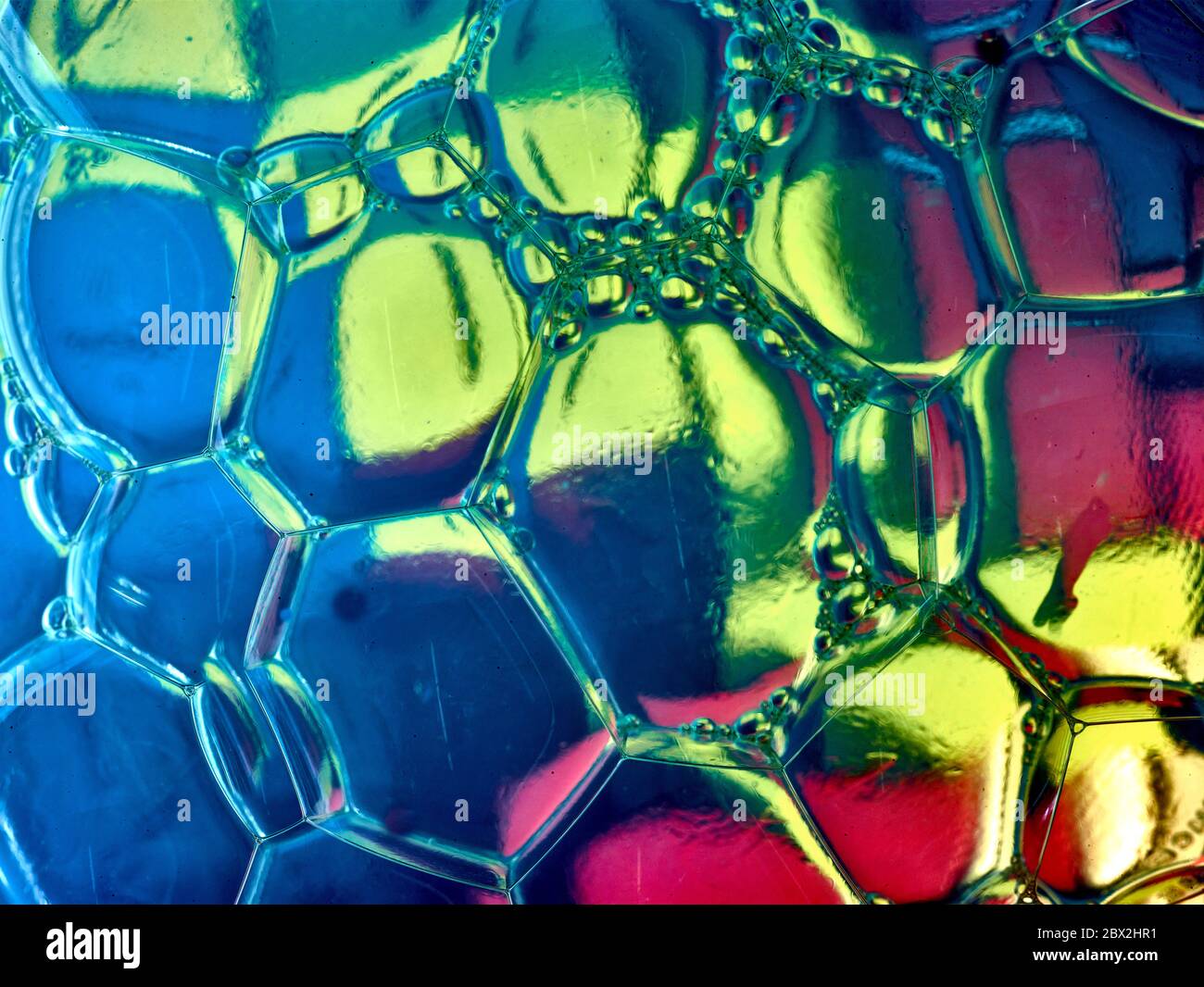 Colourful bubbles still=life symbolising the myriad patterns of human ...
