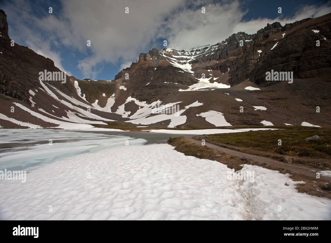 Snowy Larch Valley Trail Stock Photo - Alamy