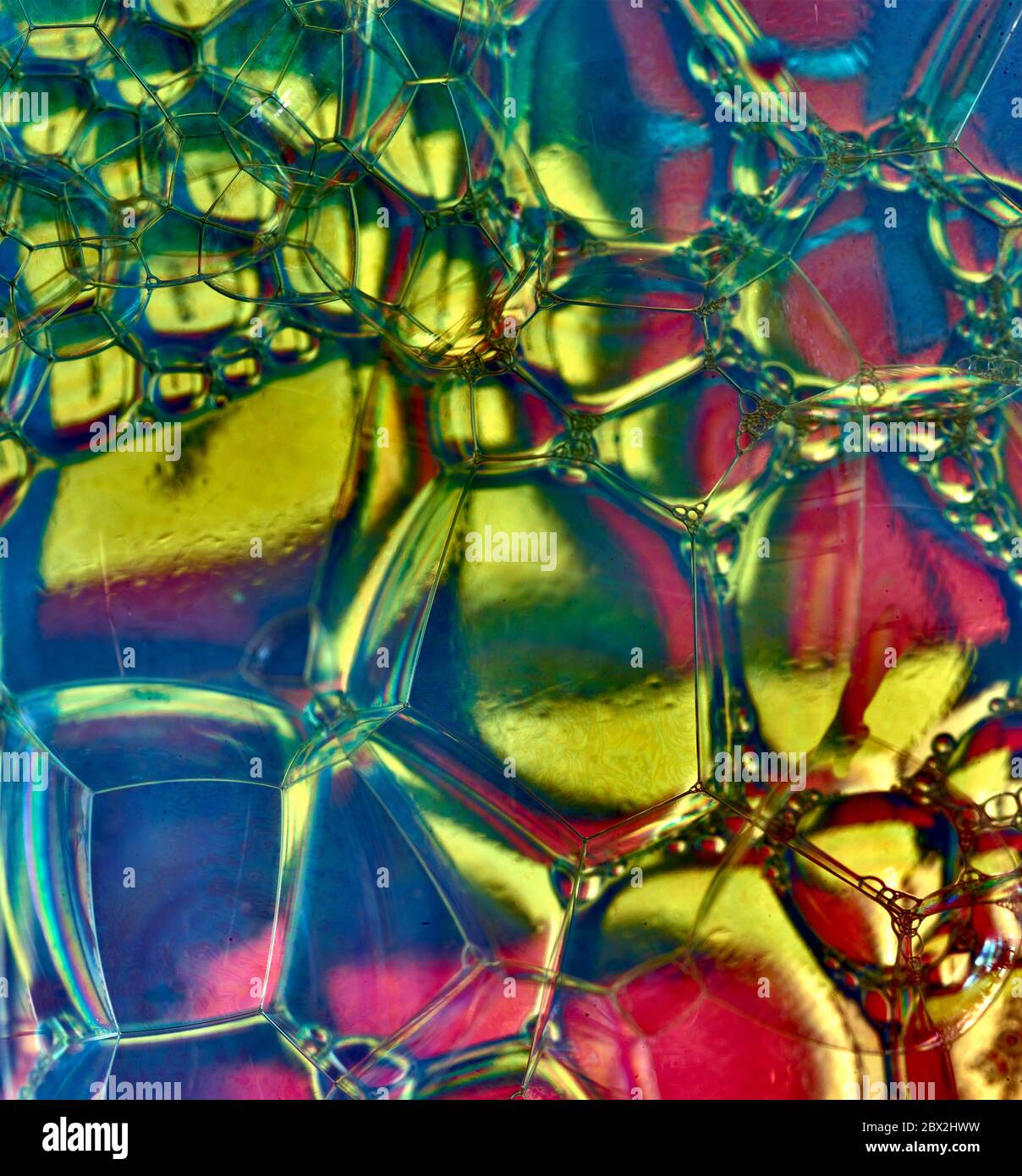 Colourful bubbles still=life symbolising the myriad patterns of human ...