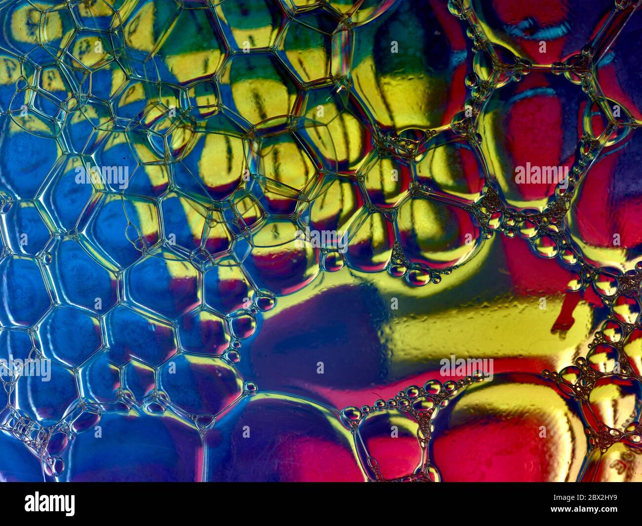 Colourful bubbles still=life symbolising the myriad patterns of human ...