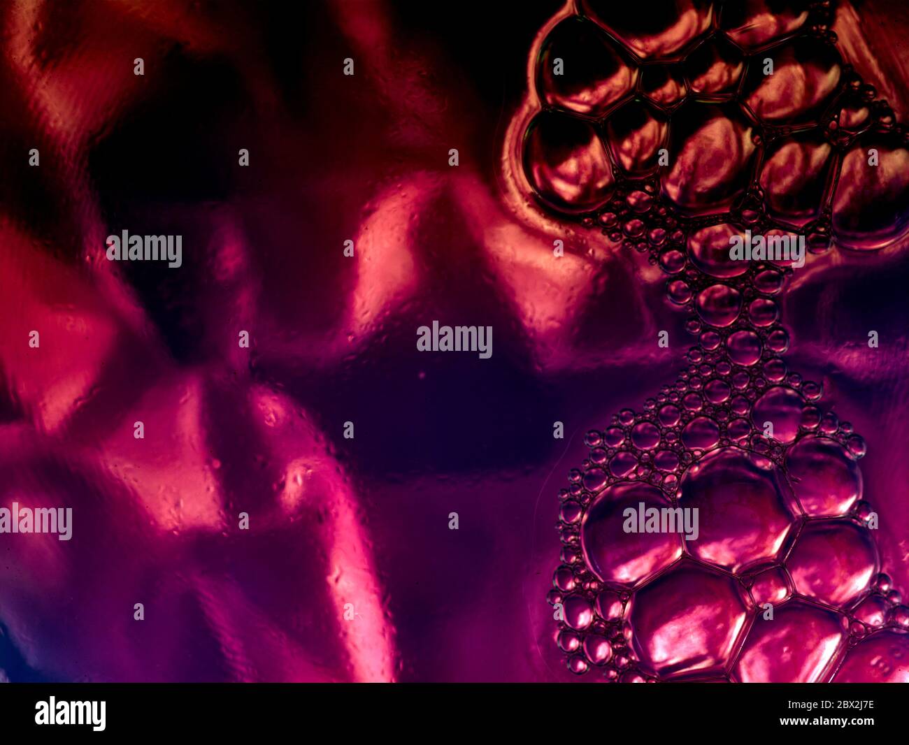 Symphony in red, bubbles still-life also symbolising beauty and the ...