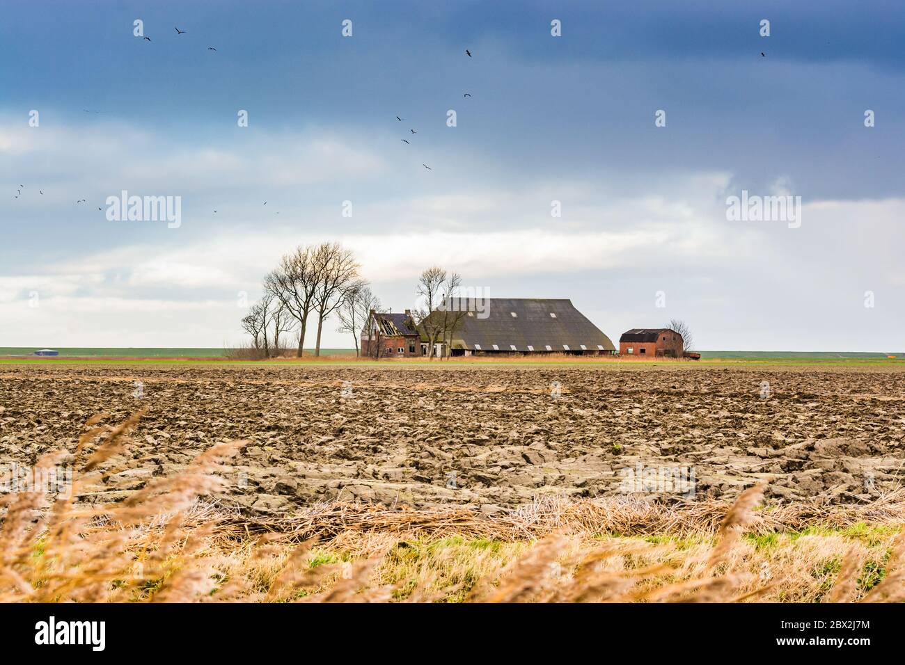 Top 10 netherlands hi-res stock photography and images - Alamy