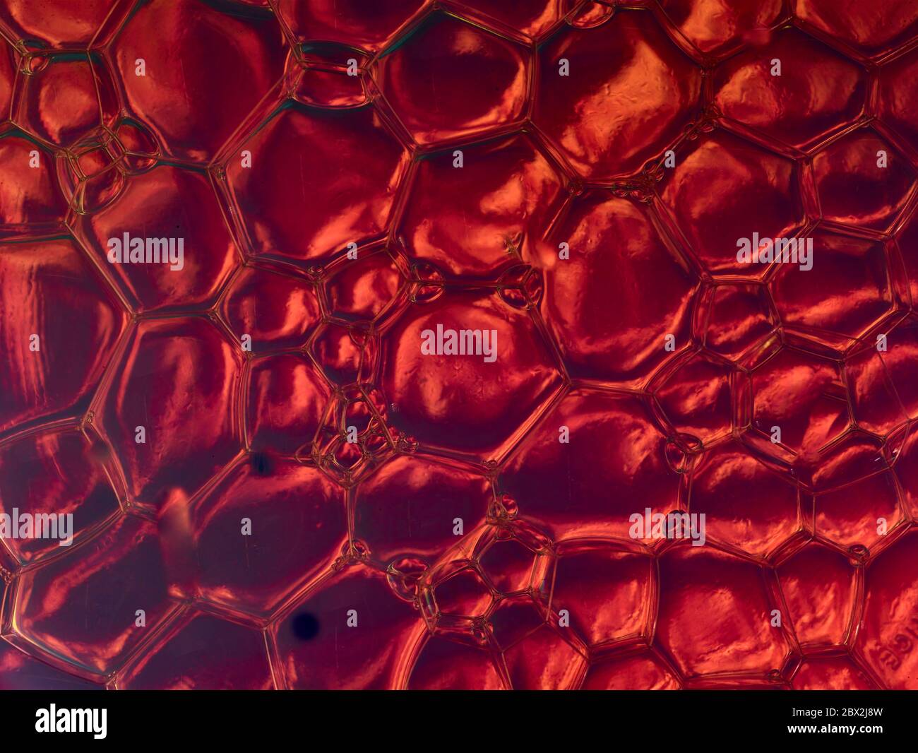 Symphony in red, bubbles still-life also symbolising beauty and the ...