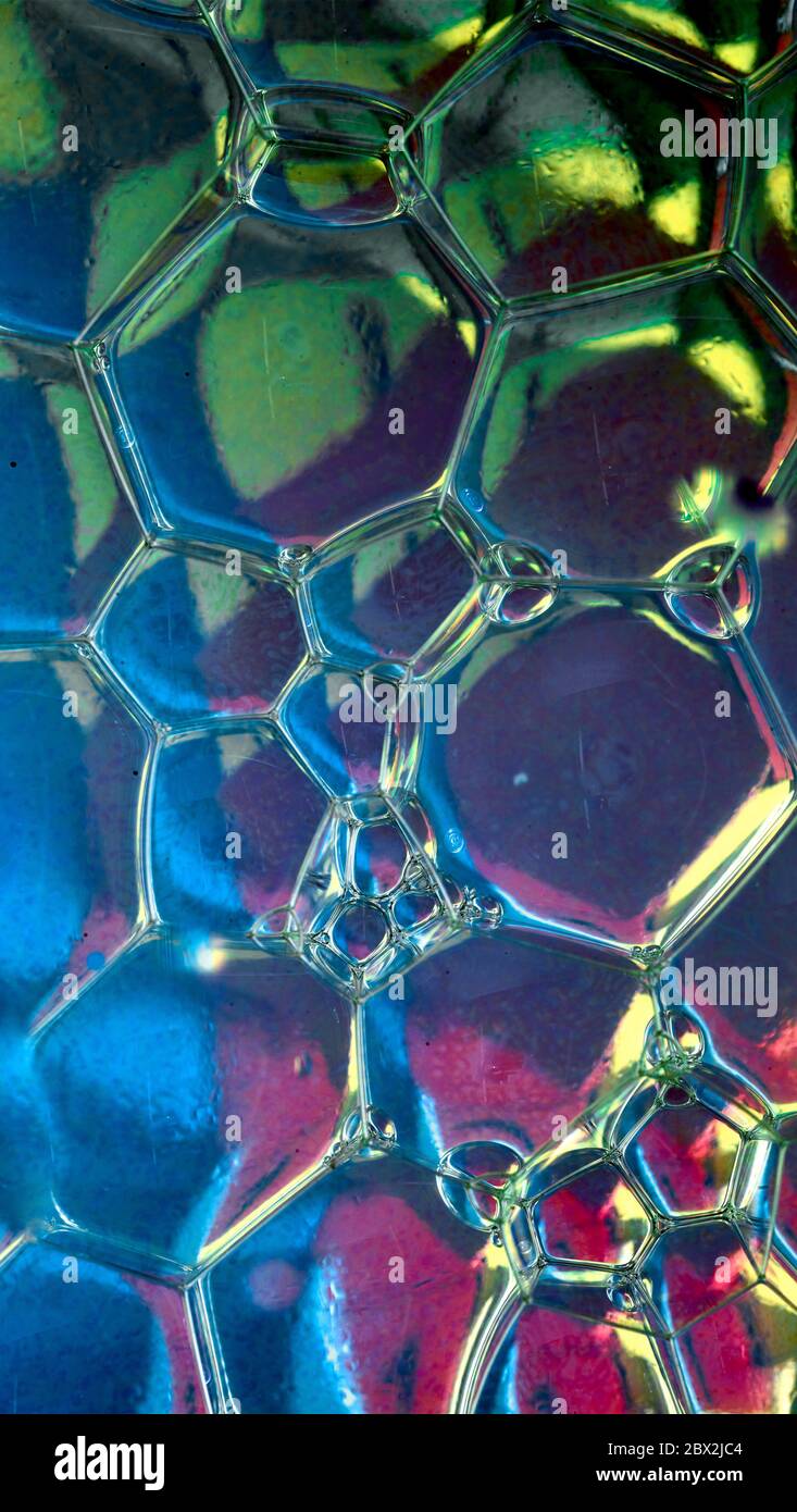 Colourful bubbles still=life symbolising the myriad patterns of human ...