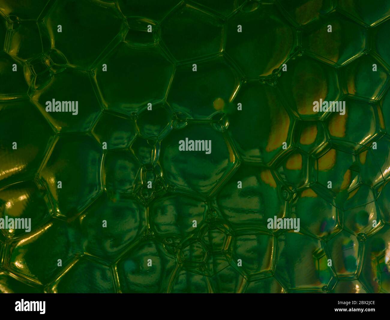 Colourful bubbles still=life symbolising the myriad patterns of human ...