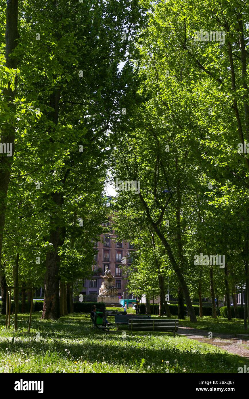 Trees in a Public garden in Milan Stock Photo - Alamy