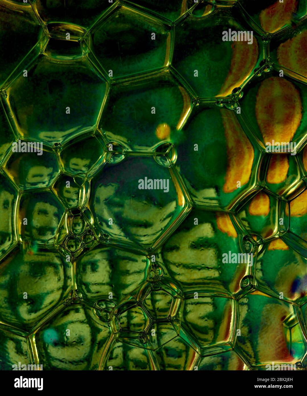 Colourful bubbles still=life symbolising the myriad patterns of human ...