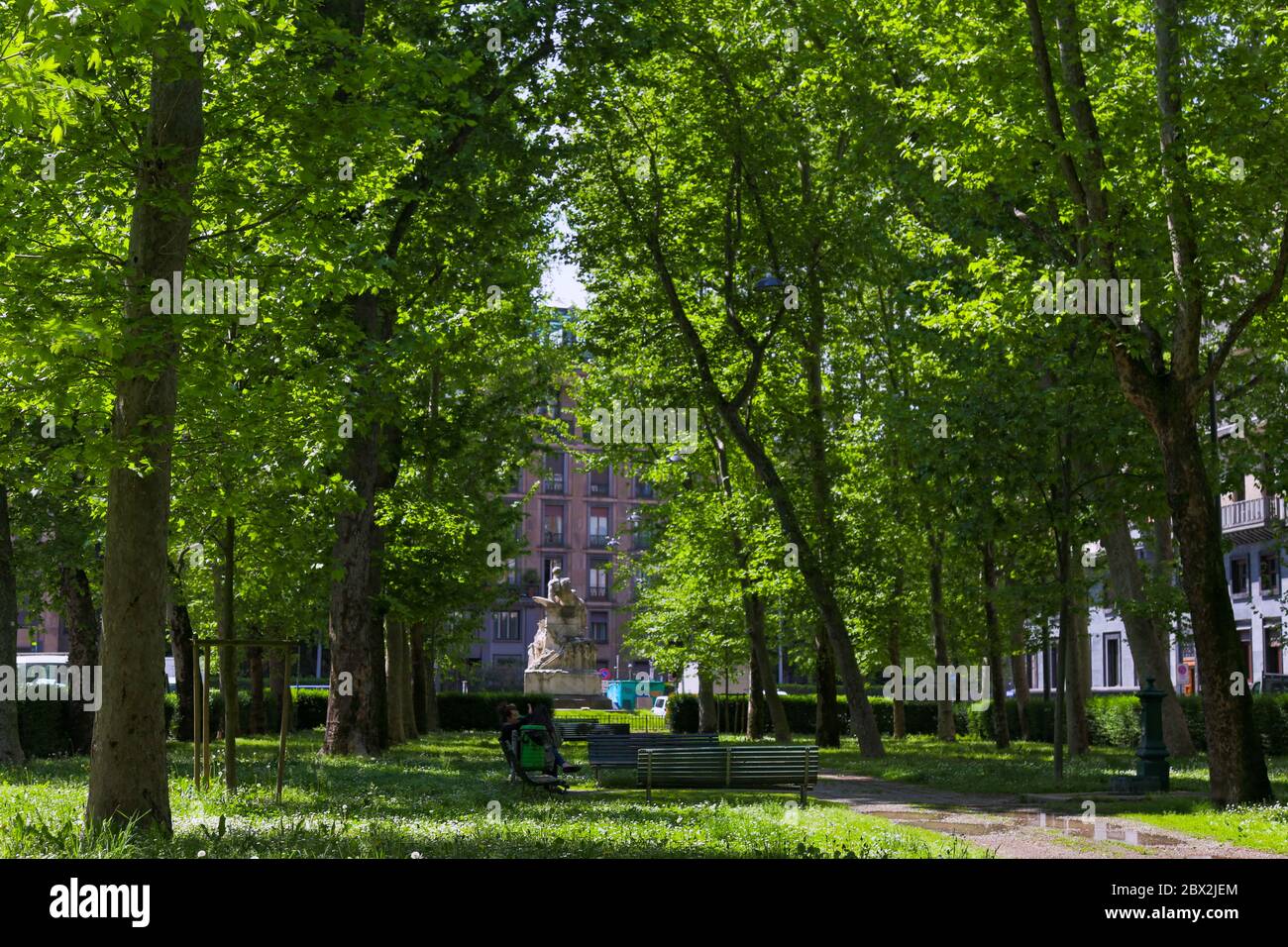 Trees in a Public garden in Milan Stock Photo - Alamy