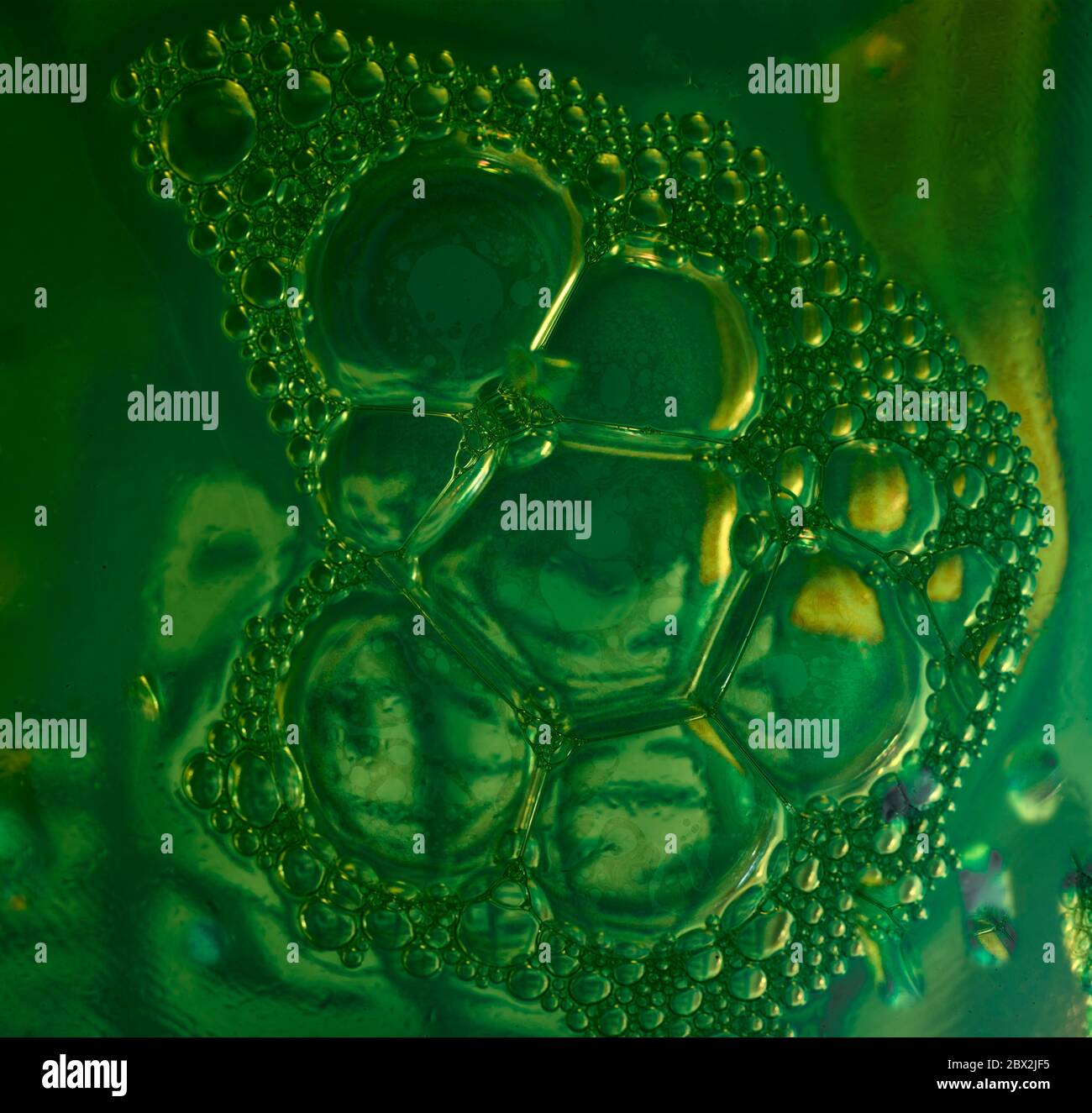 Colourful bubbles still=life symbolising the myriad patterns of human ...