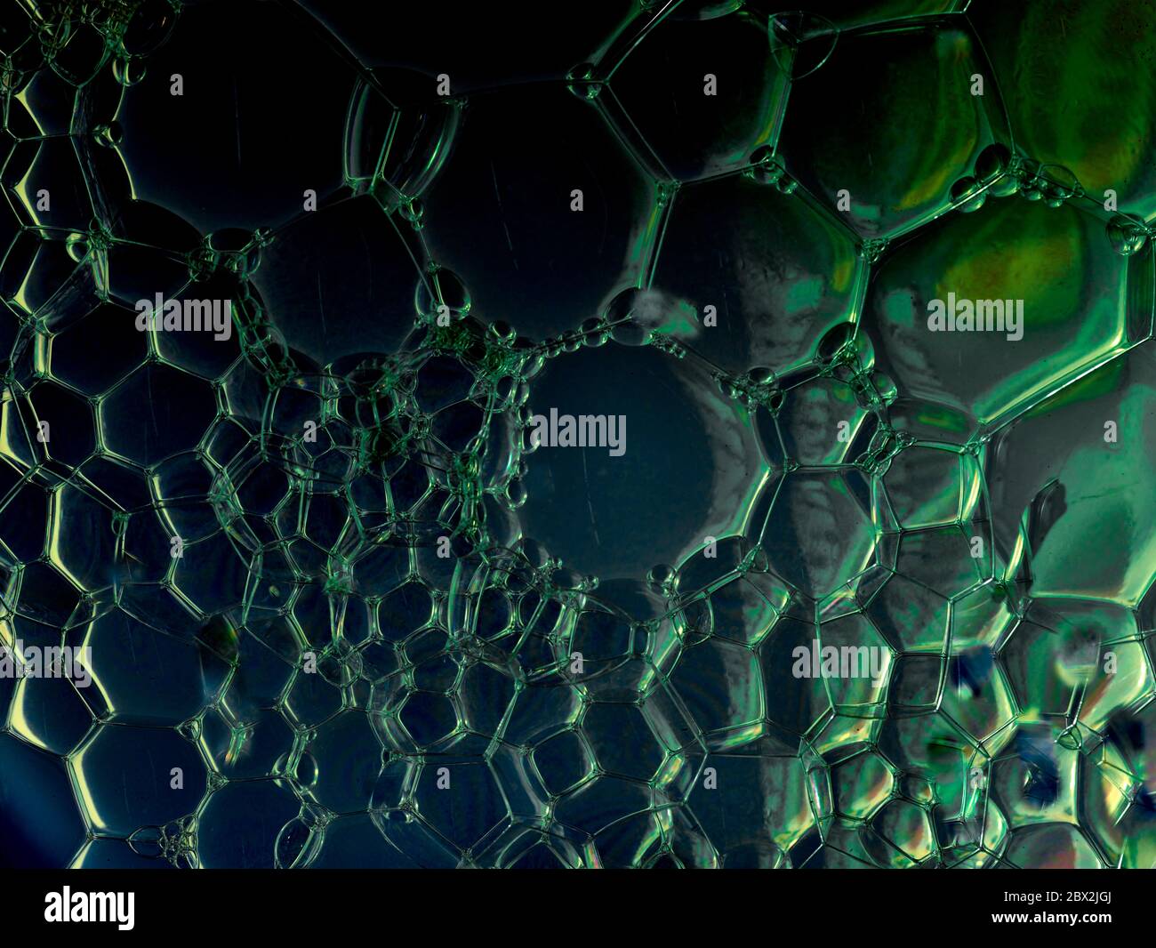 Colourful bubbles still=life symbolising the myriad patterns of human ...