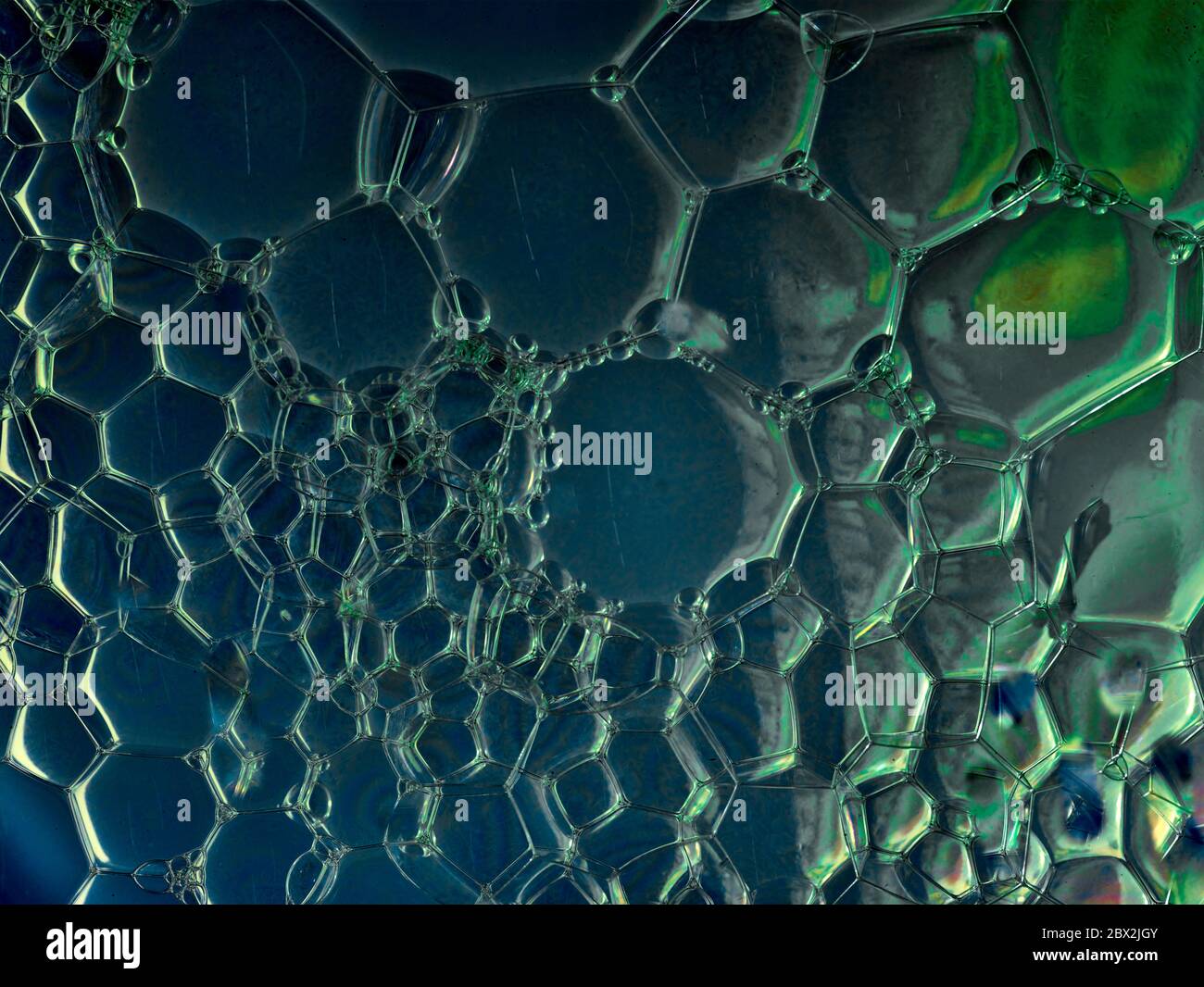 Colourful bubbles still=life symbolising the myriad patterns of human ...