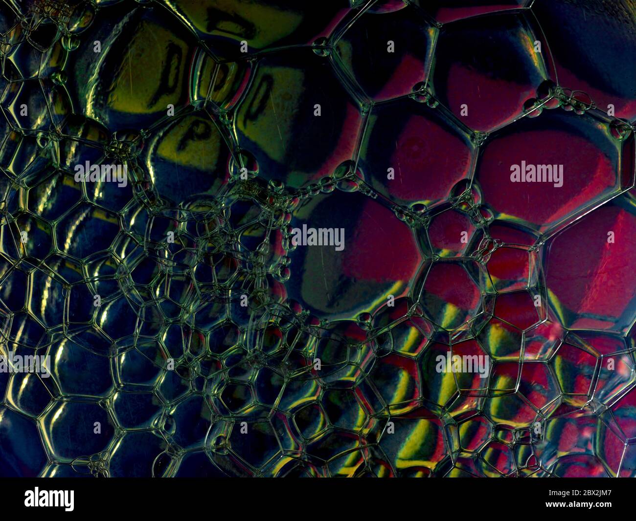 Colourful bubbles still=life symbolising the myriad patterns of human ...