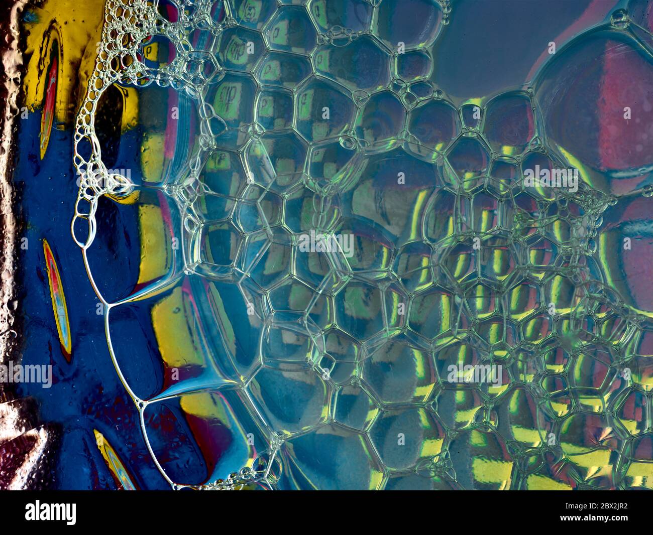 Colourful bubbles still=life symbolising the myriad patterns of human ...
