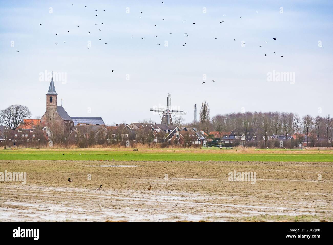 Panorama of Anjum in winter, north of Netherlands Stock Photo - Alamy