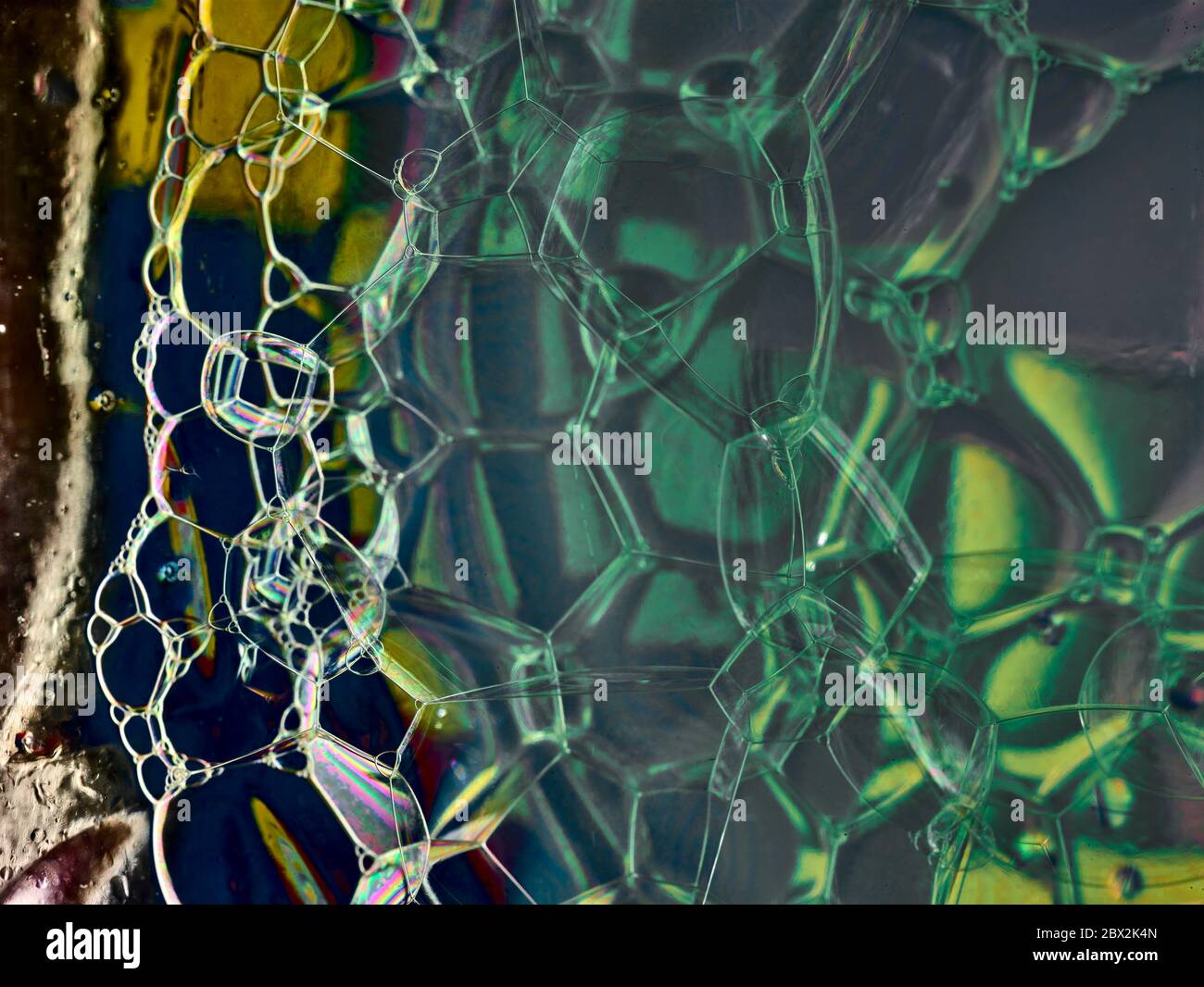 Colourful bubbles still=life symbolising the myriad patterns of human ...