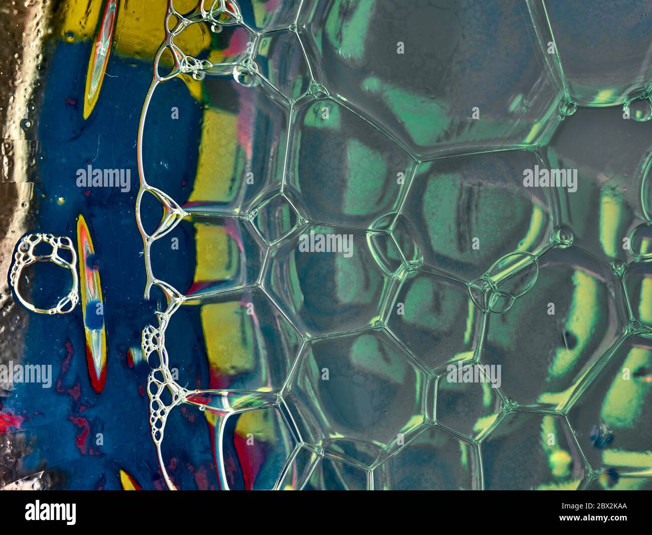 Colourful bubbles still=life symbolising the myriad patterns of human ...