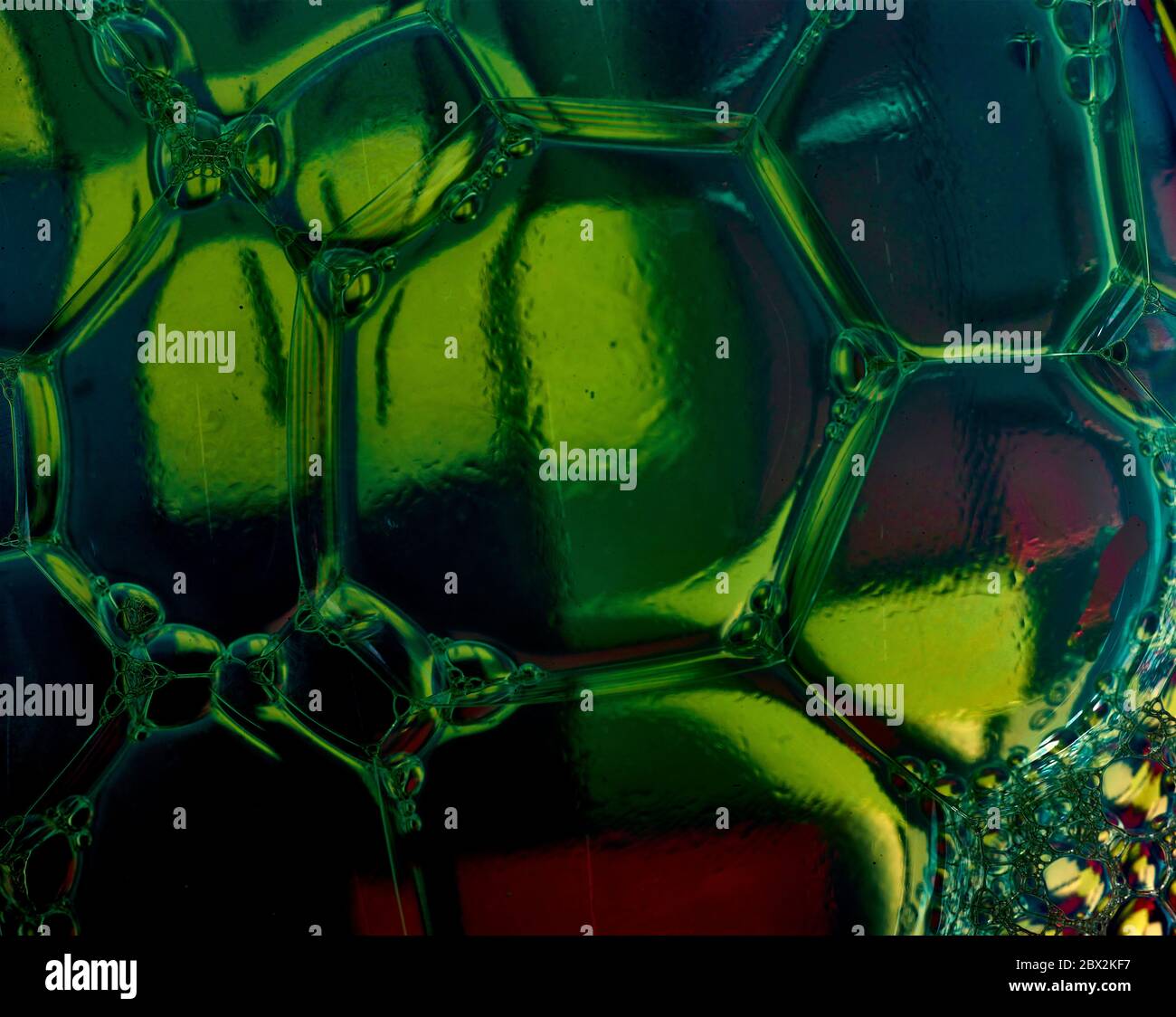 Colourful bubbles still=life symbolising the myriad patterns of human ...