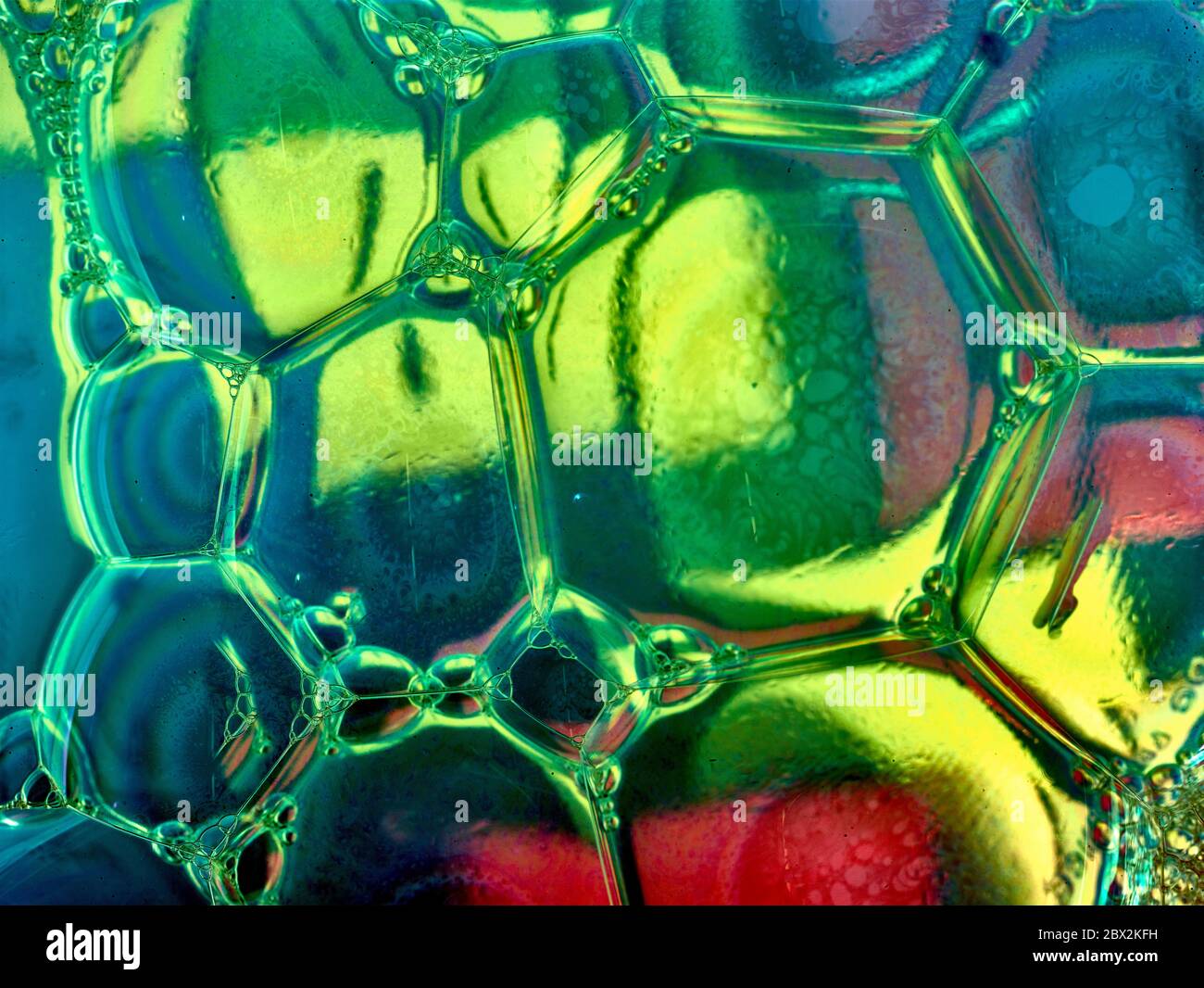 Colourful bubbles still=life symbolising the myriad patterns of human ...