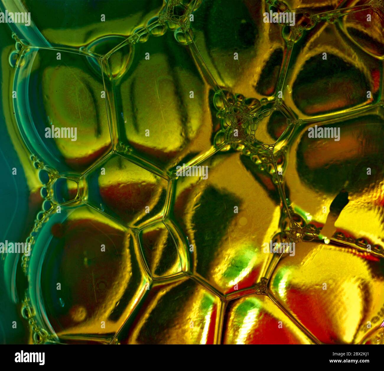 Colourful bubbles still=life symbolising the myriad patterns of human ...