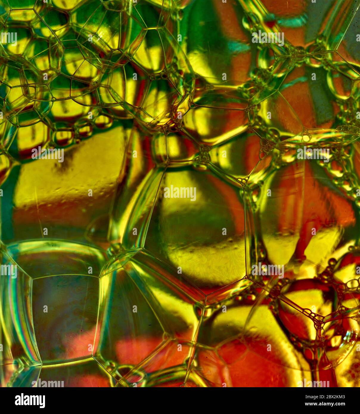 Colourful bubbles still=life symbolising the myriad patterns of human ...