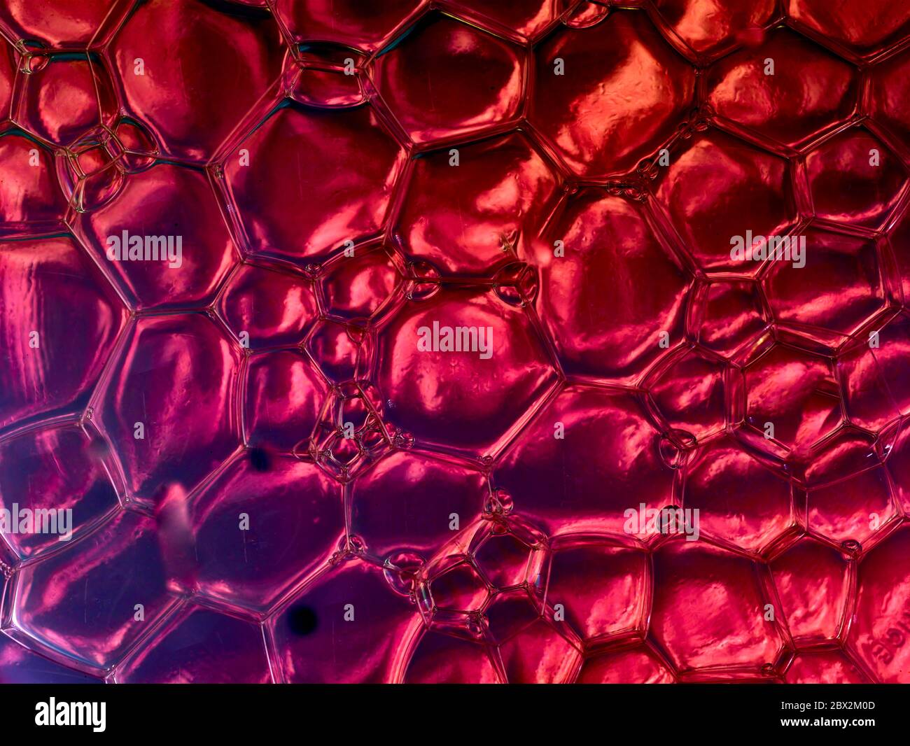 Colourful bubbles still=life symbolising the myriad patterns of human ...