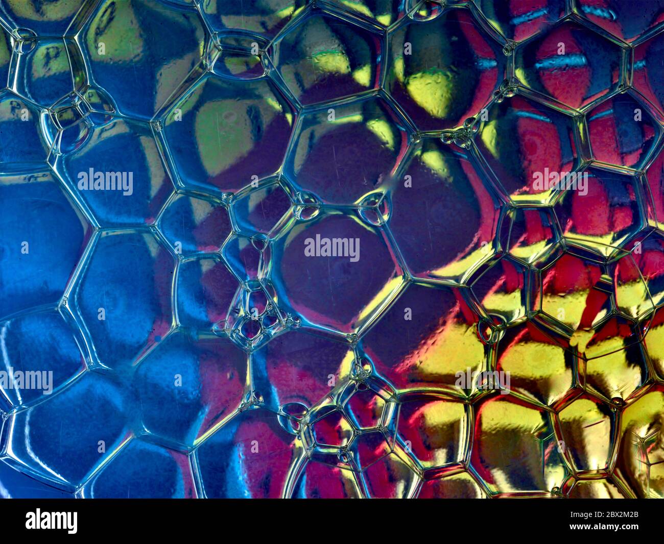 Colourful bubbles still=life symbolising the myriad patterns of human ...