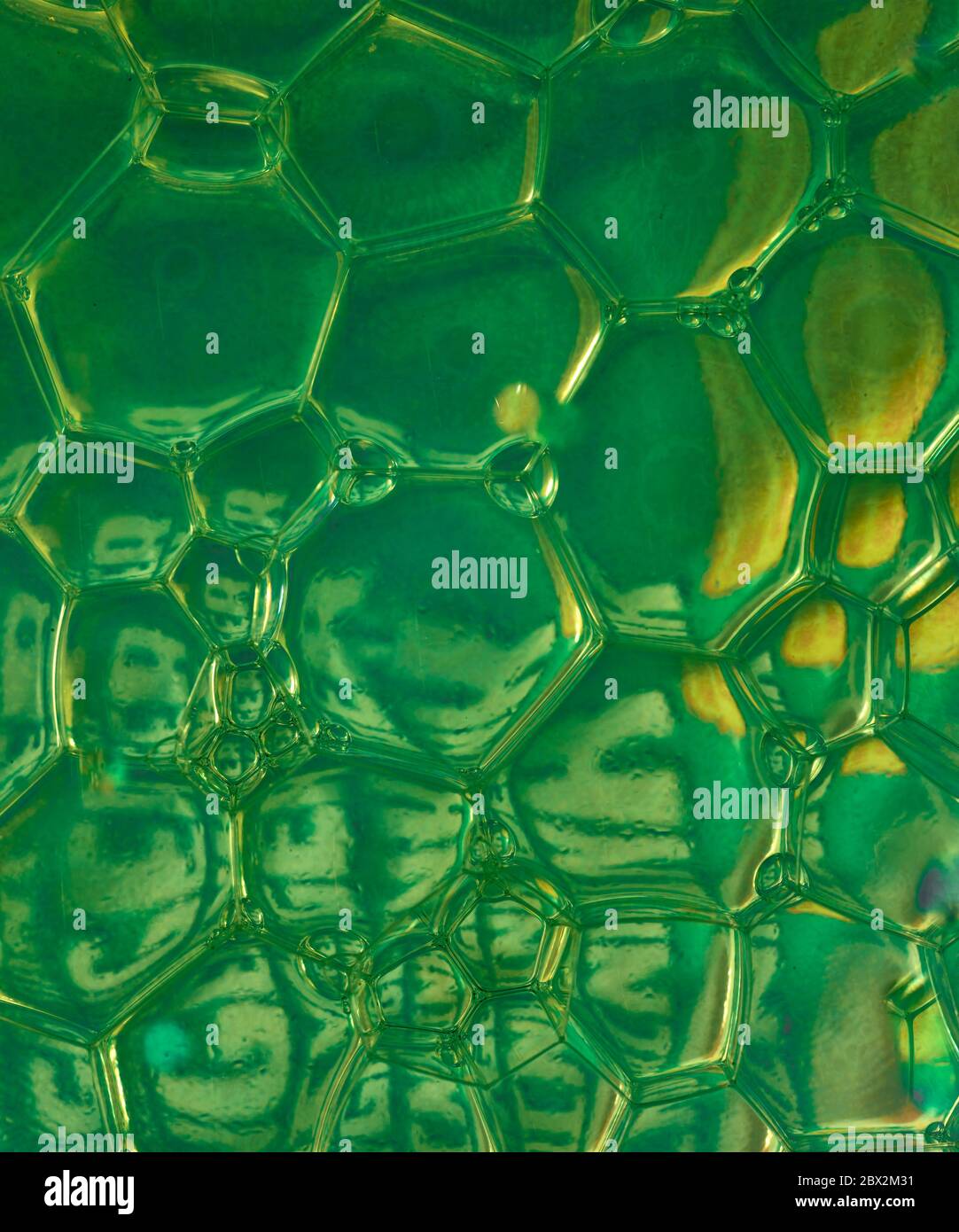Colourful bubbles still=life symbolising the myriad patterns of human ...