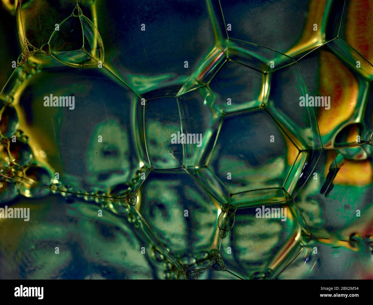 Colourful bubbles still=life symbolising the myriad patterns of human ...