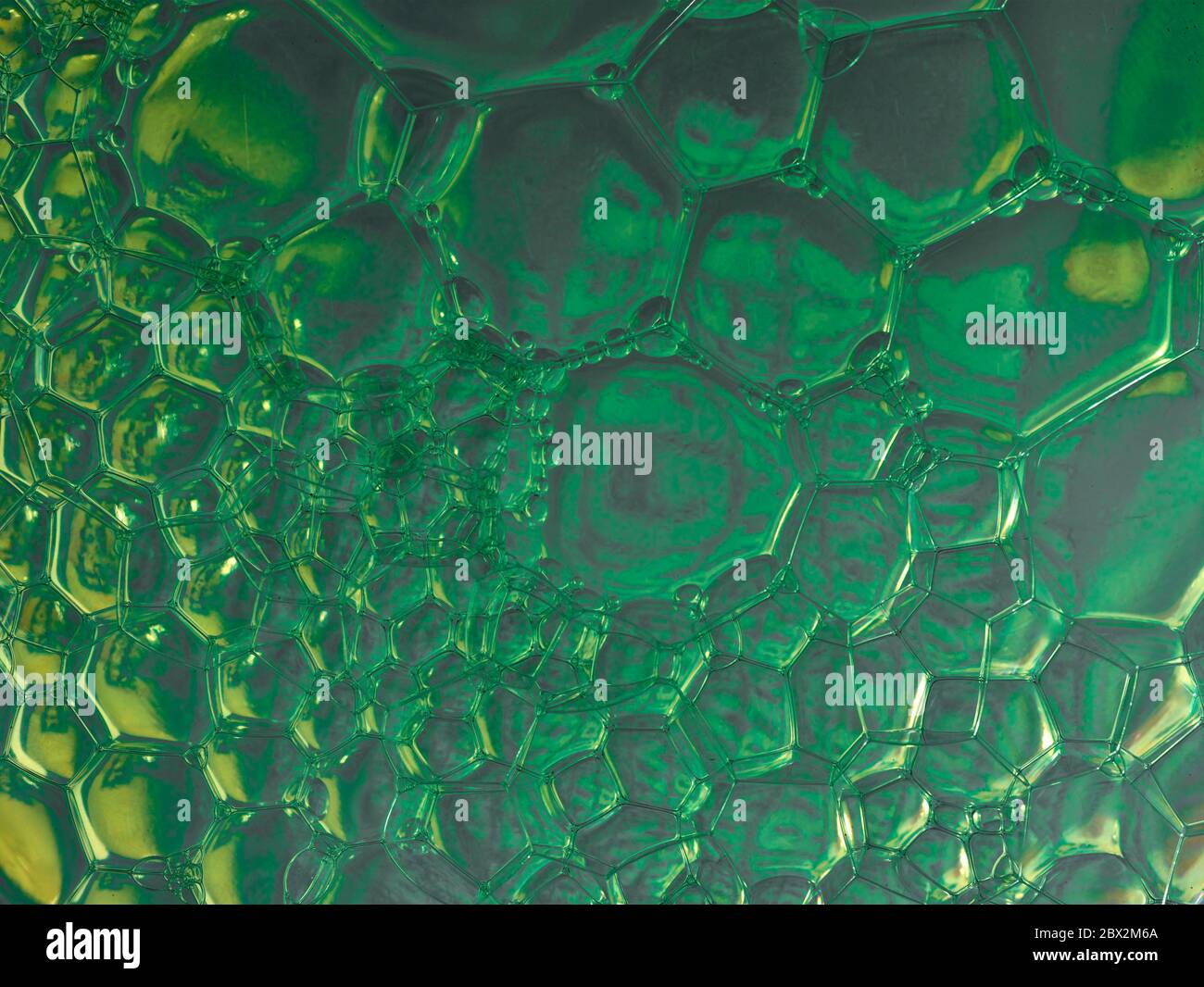 Colourful bubbles still=life symbolising the myriad patterns of human ...